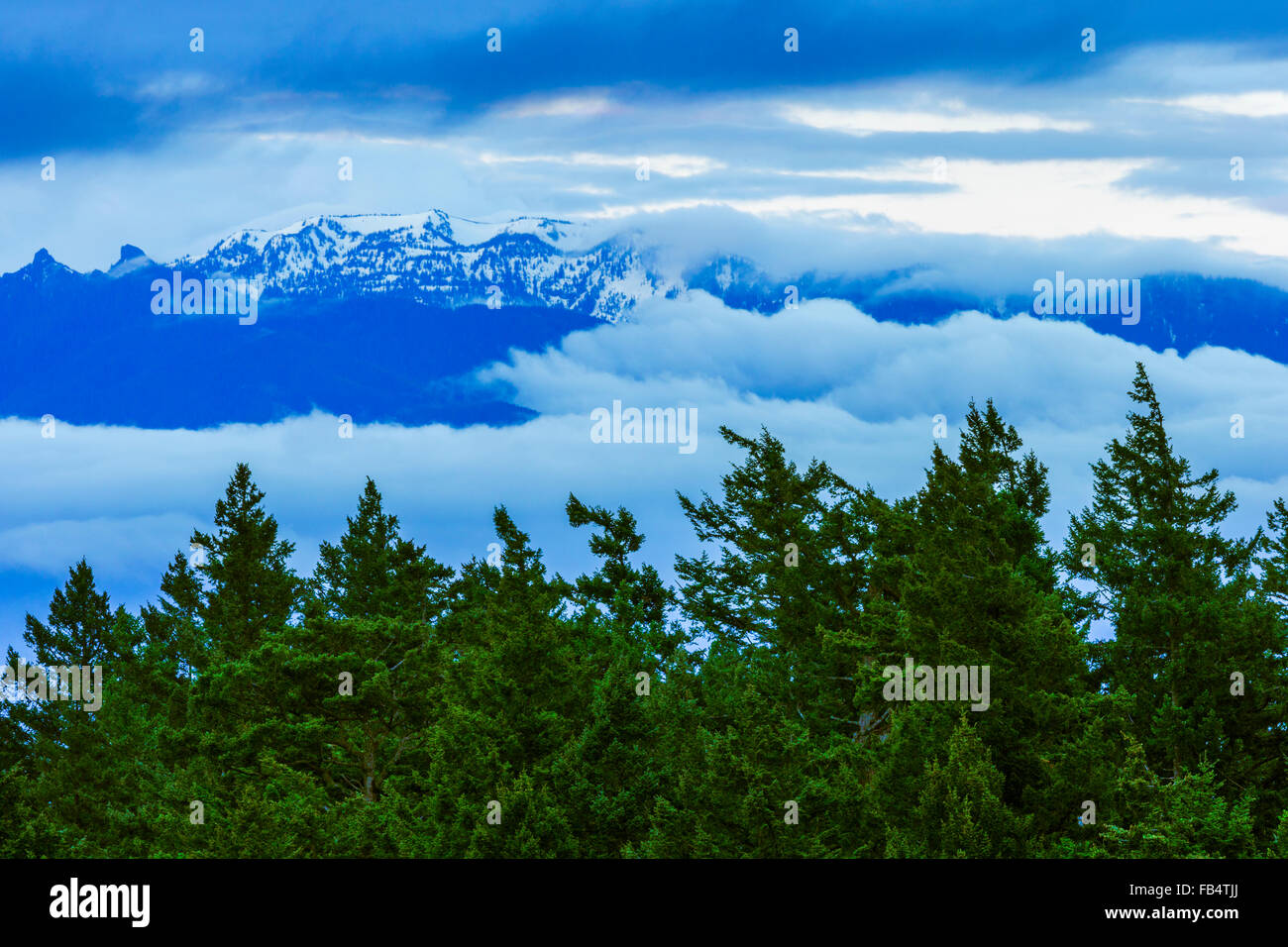 From fron view hi-res stock photography and images - Alamy