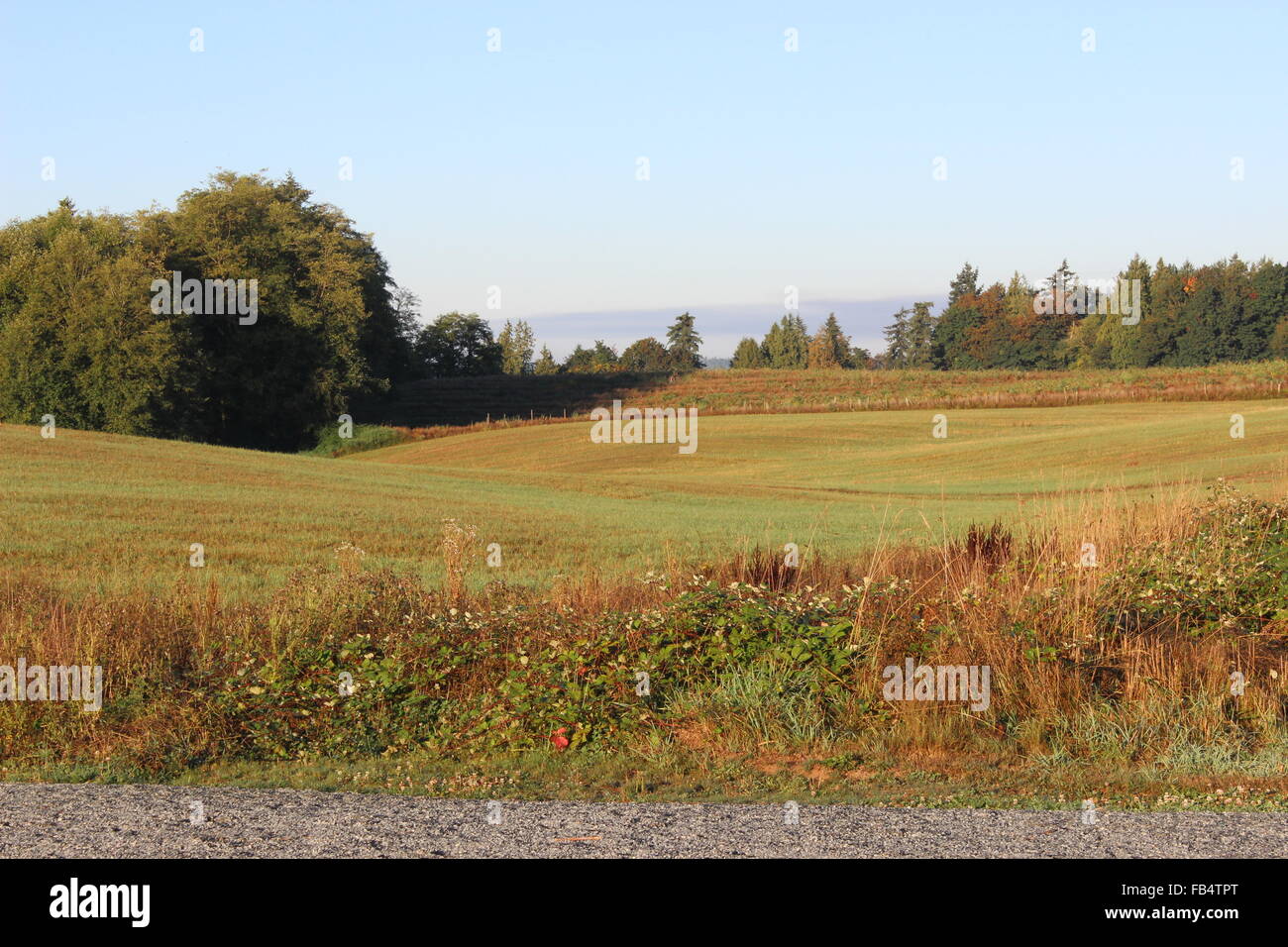 Country stroll hi-res stock photography and images - Alamy