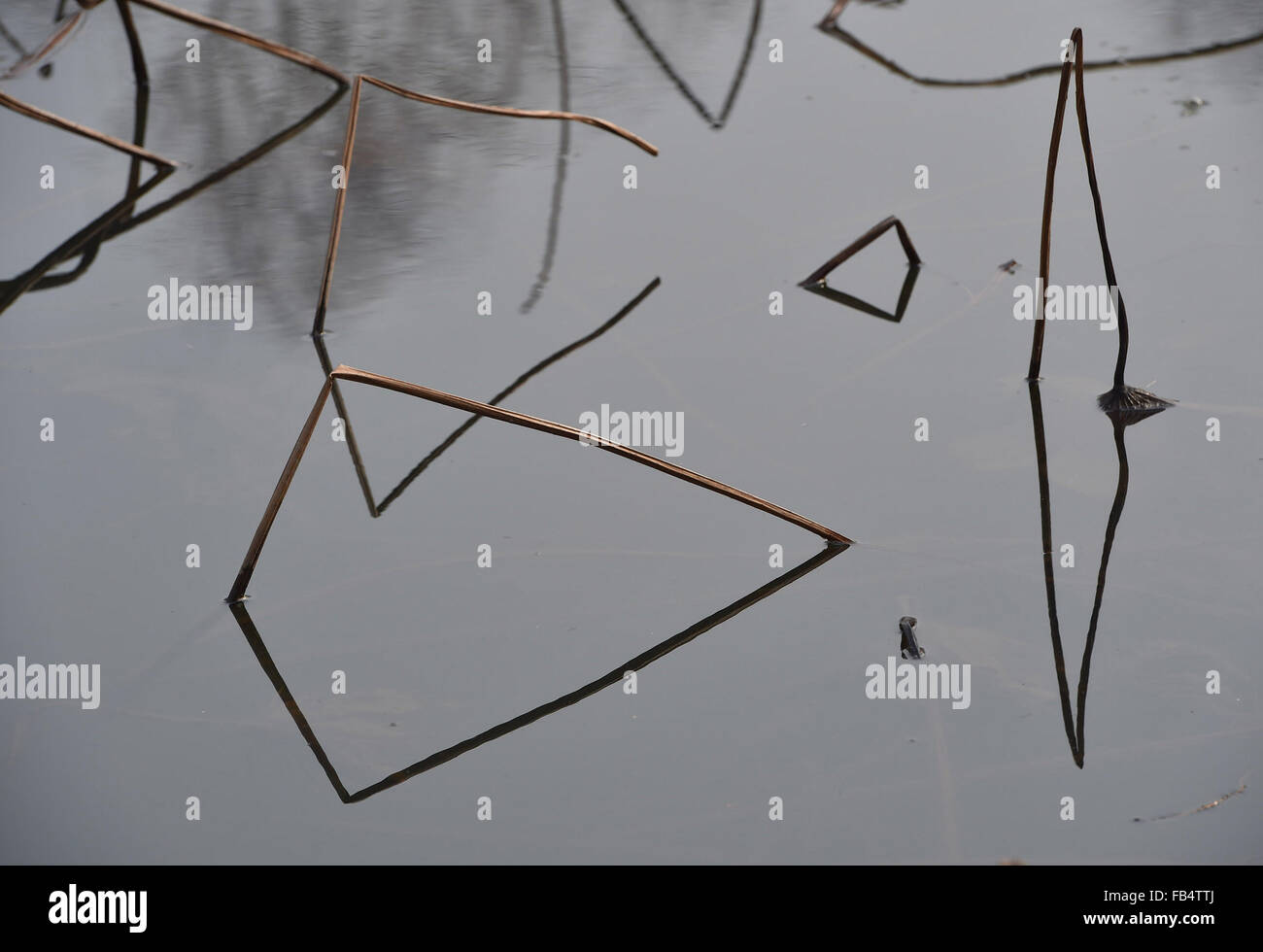 Inverted images hi-res stock photography and images - Alamy