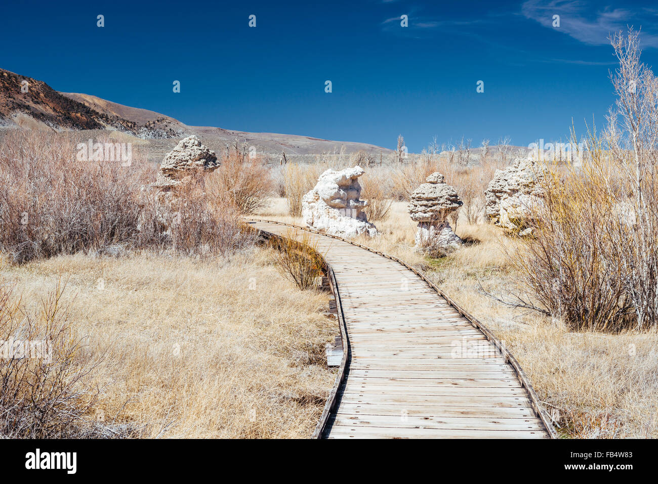 A winding boardwalk in Mono Lake Park, California Stock Photo - Alamy
