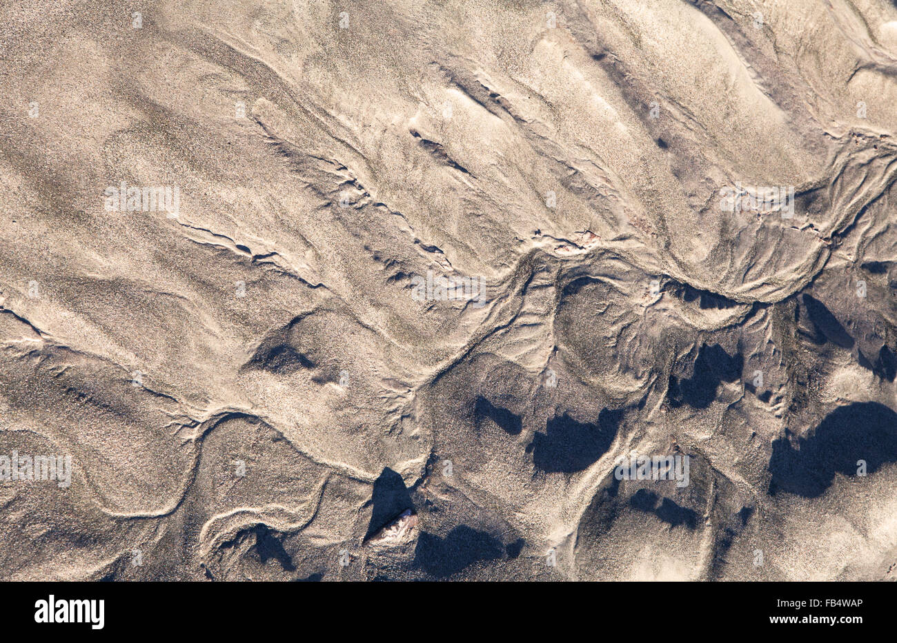 Patterns formed by tidal water flows in beach sand silt in an Alaskan ...