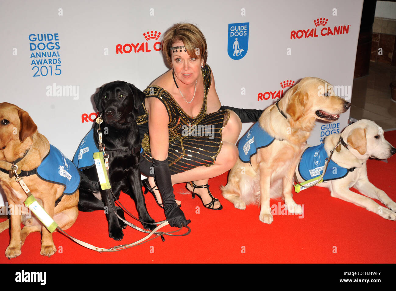 The Guide Dogs For The Blind Association annual awards 2015 at the ...