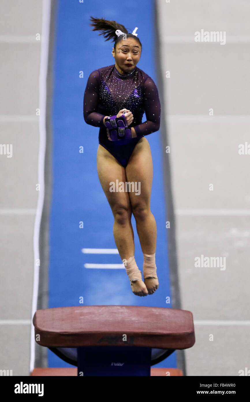 Baton Rouge, LA, USA. 09th Jan, 2016. LSU Tigers Erin Macadaeg hitting ...
