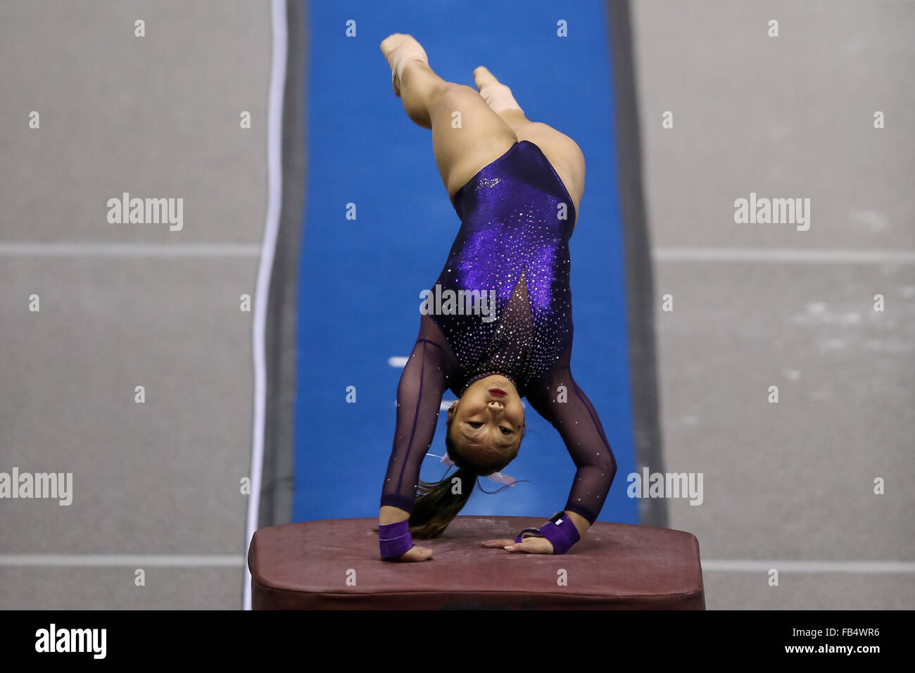 Baton Rouge, LA, USA. 09th Jan, 2016. LSU Tigers Erin Macadaeg hitting ...