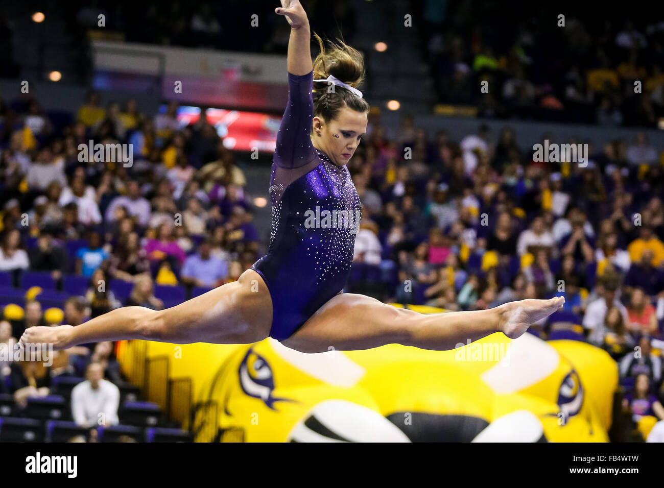 Baton Rouge, LA, USA. 09th Jan, 2016. LSU Tigers Ashleigh Gnat receives ...