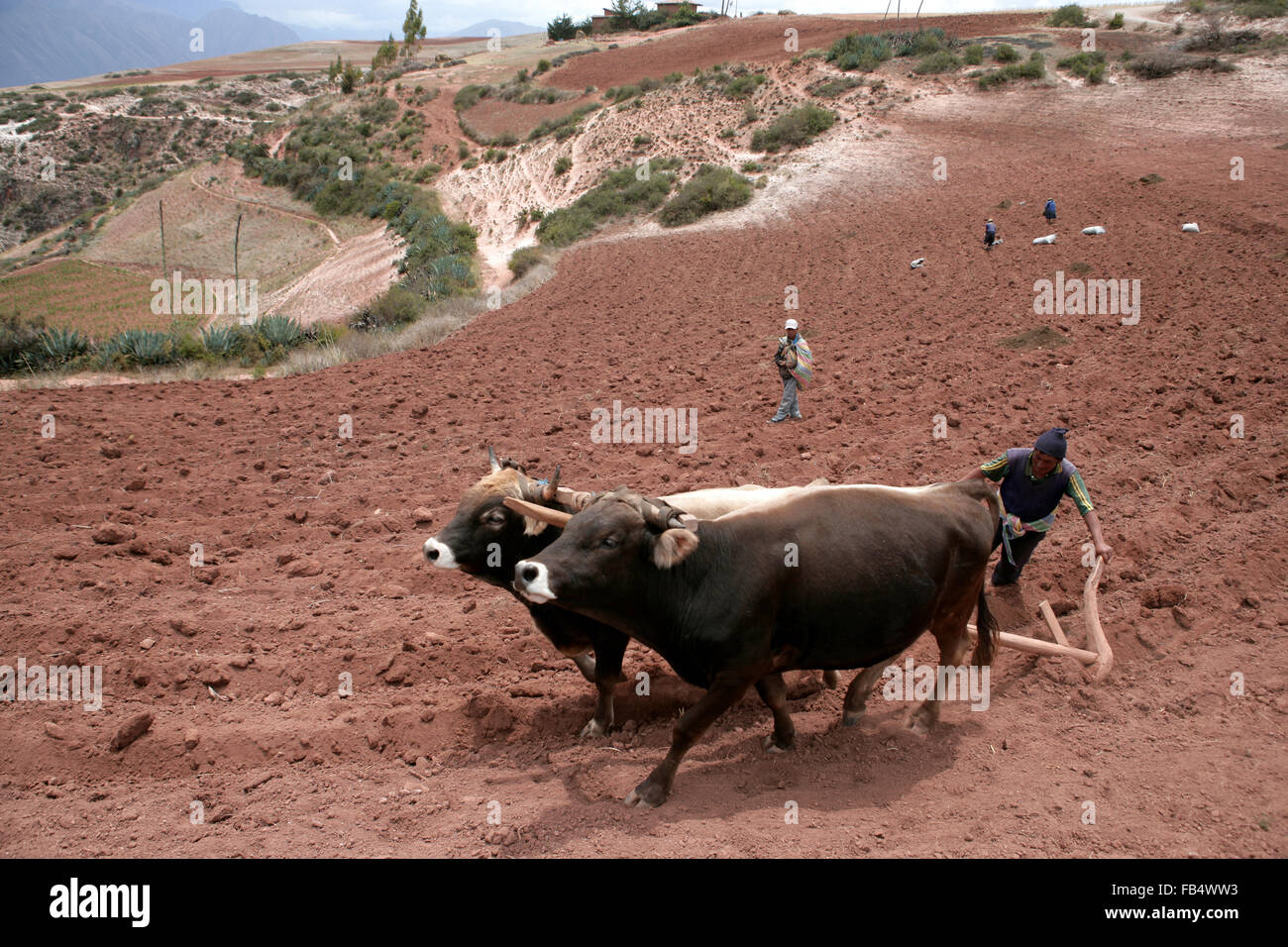 The ancient incas Peru South America Stock Photo - Alamy