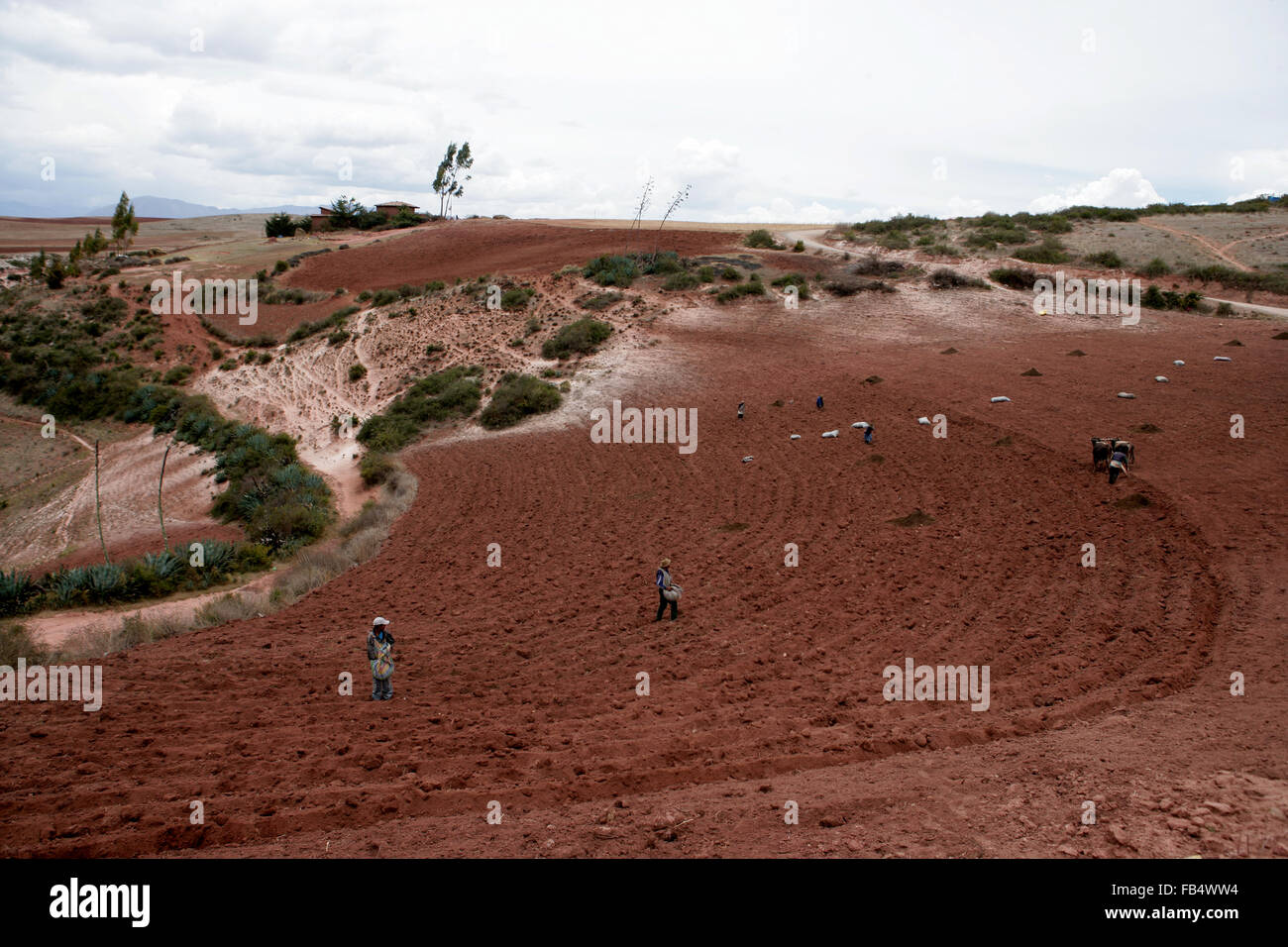 The ancient incas Peru South America Stock Photo - Alamy