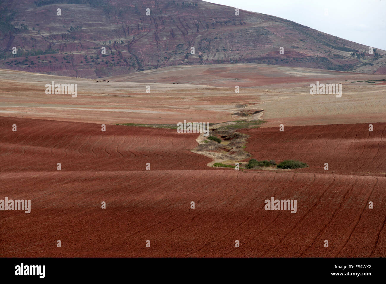 The ancient incas Peru South America Stock Photo - Alamy