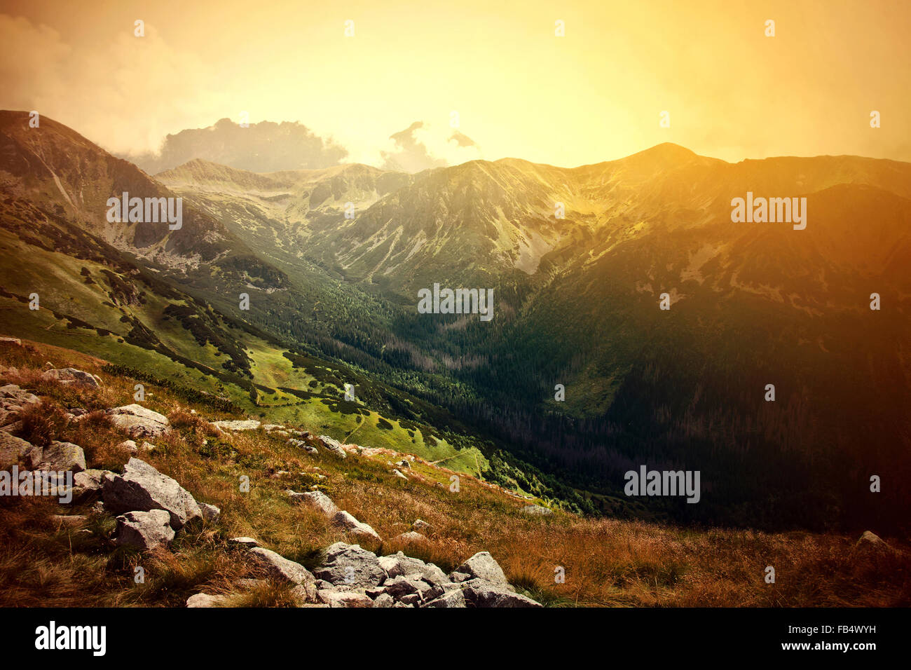 Fog in mountains. Fantasy and colorfull nature landscape. Nature ...