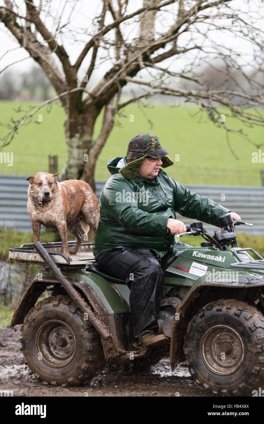 Farmer with dog hi-res stock photography and images - Alamy