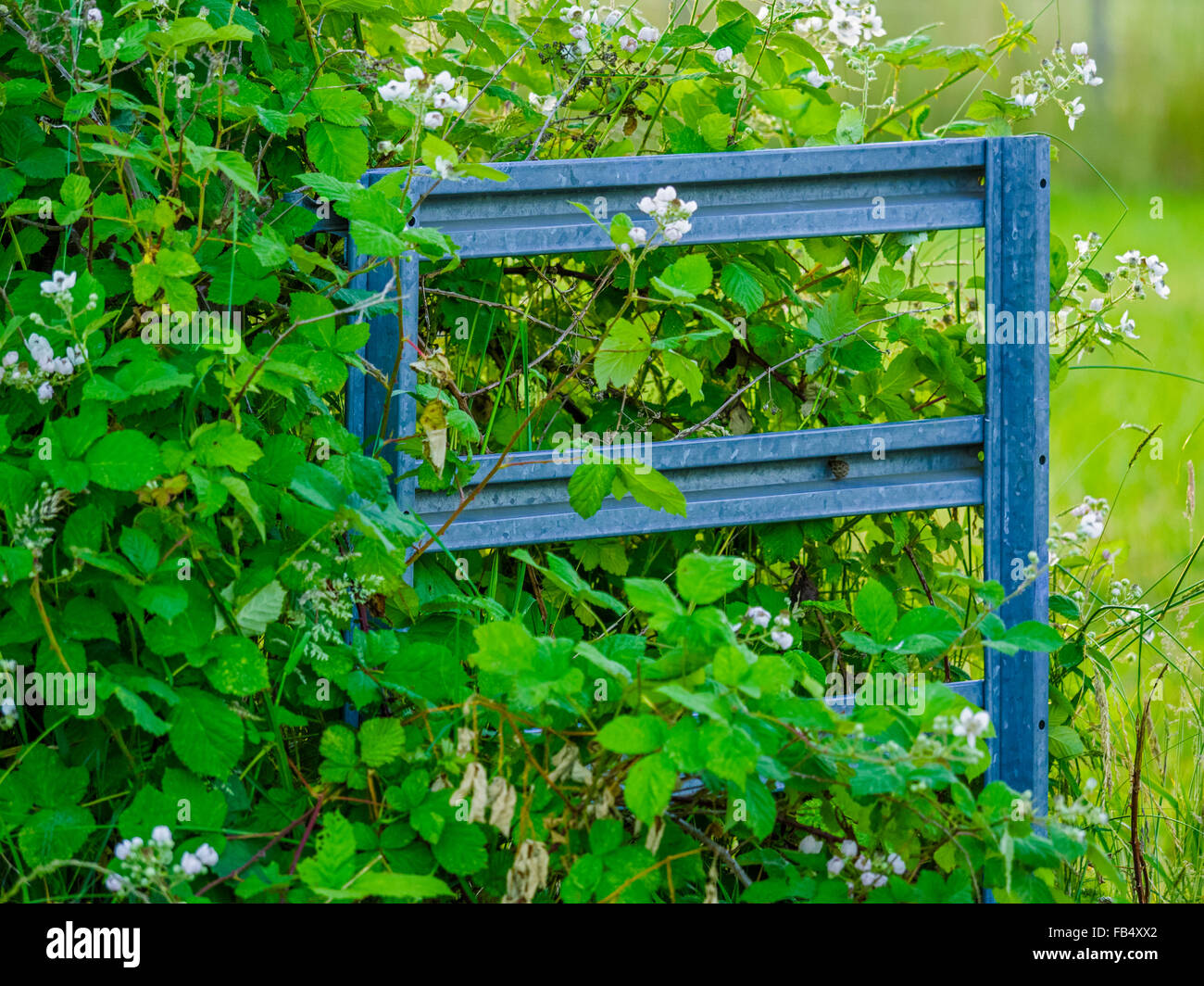 British farm gate hi-res stock photography and images - Alamy