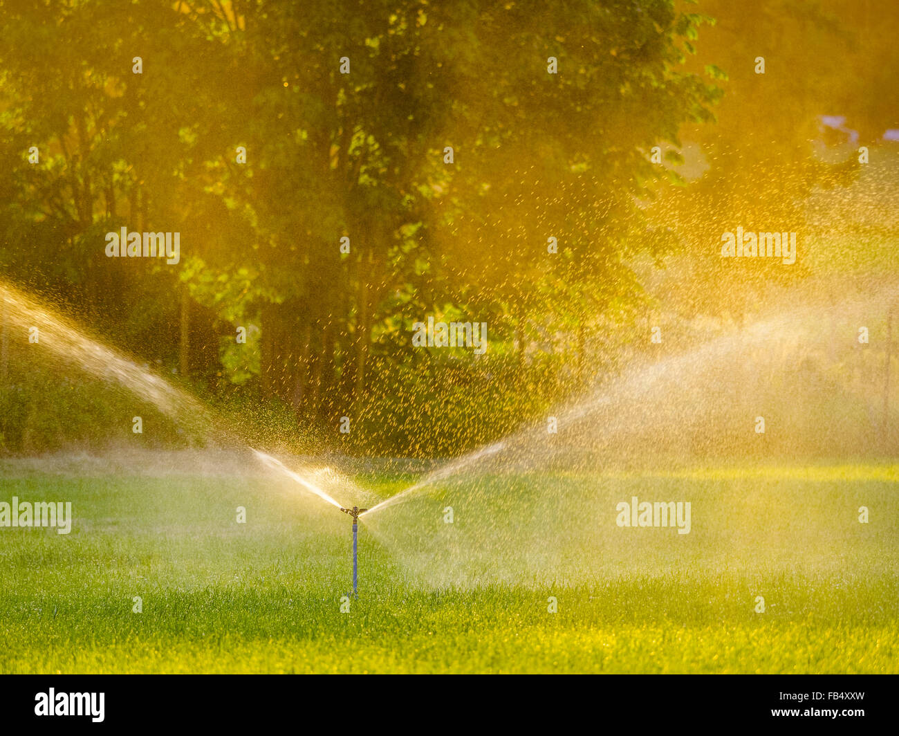 Irrigation of pasture on Vancouver Island, Canada Stock Photo - Alamy