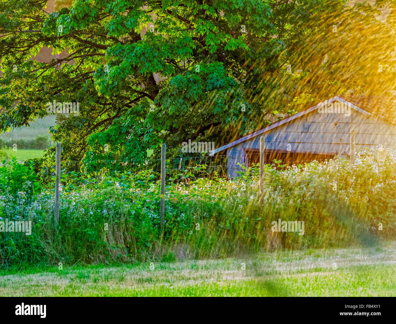 Irrigation of pasture on Vancouver Island, Canada Stock Photo - Alamy