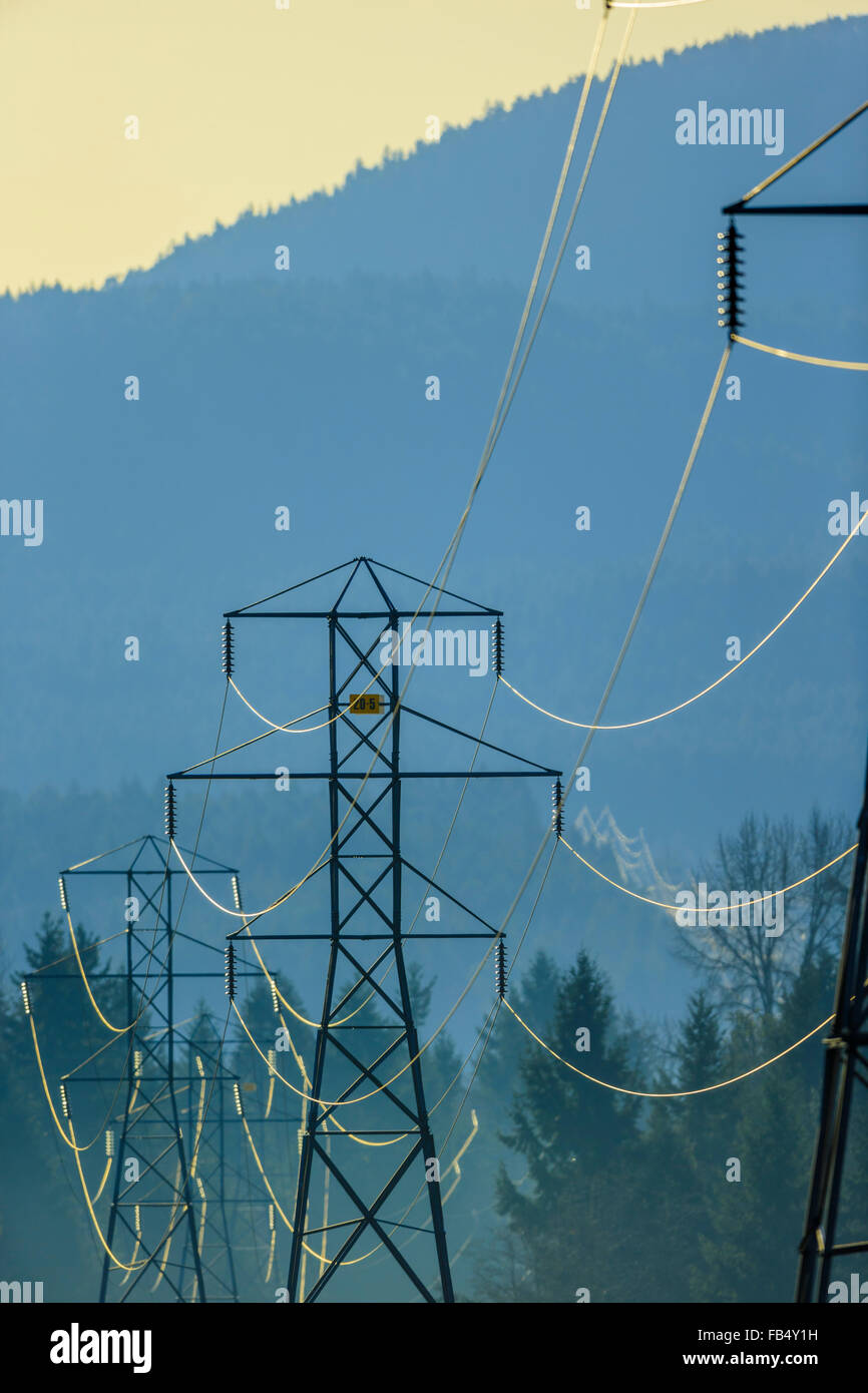 High tension power lines on Vancouver Island Stock Photo - Alamy