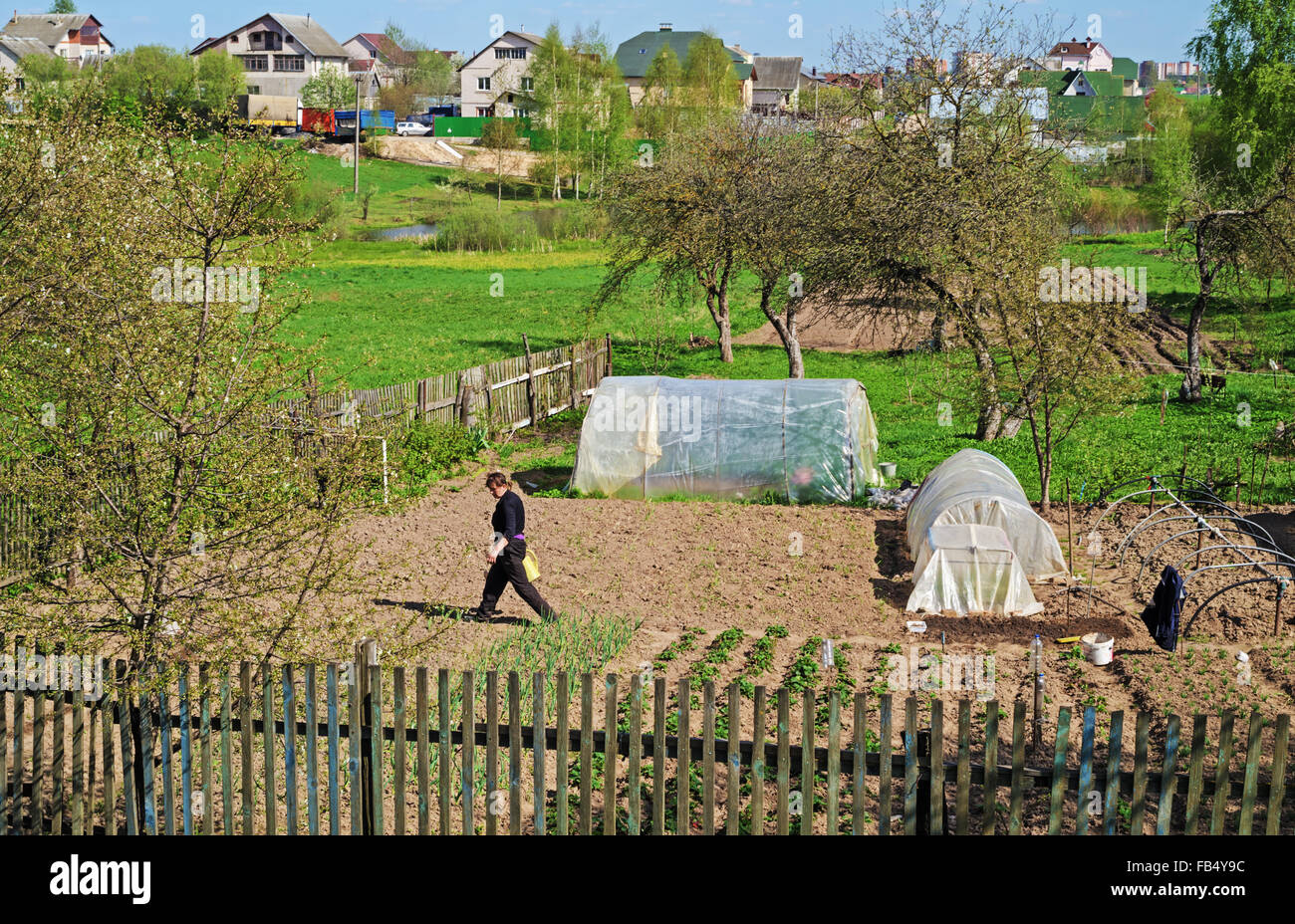 Spring village landscape. Rural garden Stock Photo - Alamy