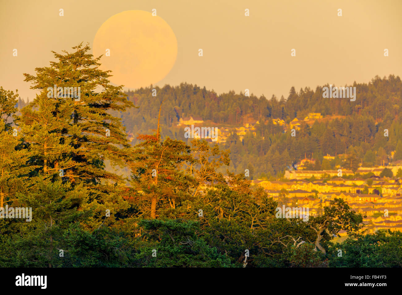 Full moon rising over Namaimo on Vancouver Island Stock Photo - Alamy