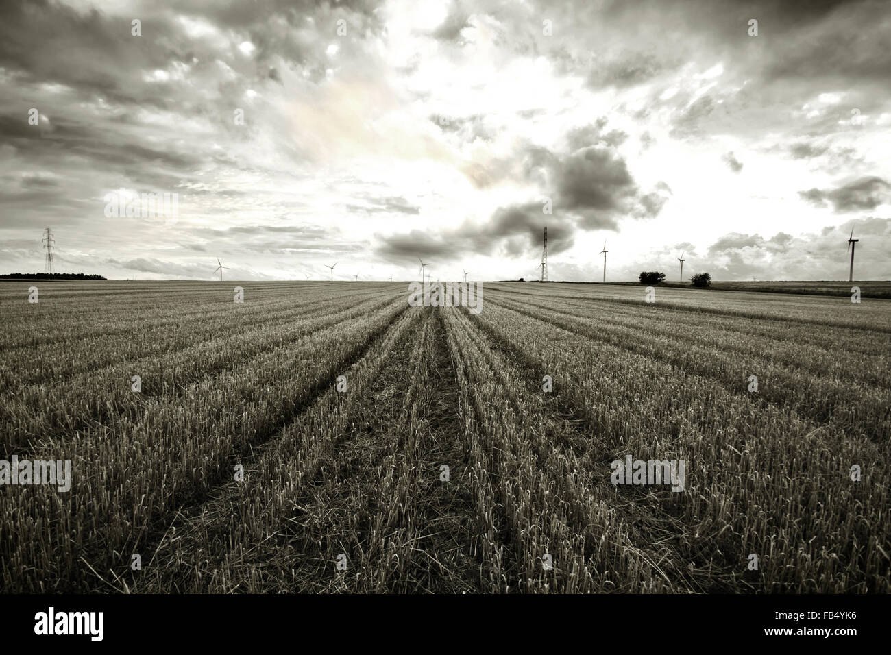 Black and white rural landscape. Field and sky with clouds Stock Photo ...