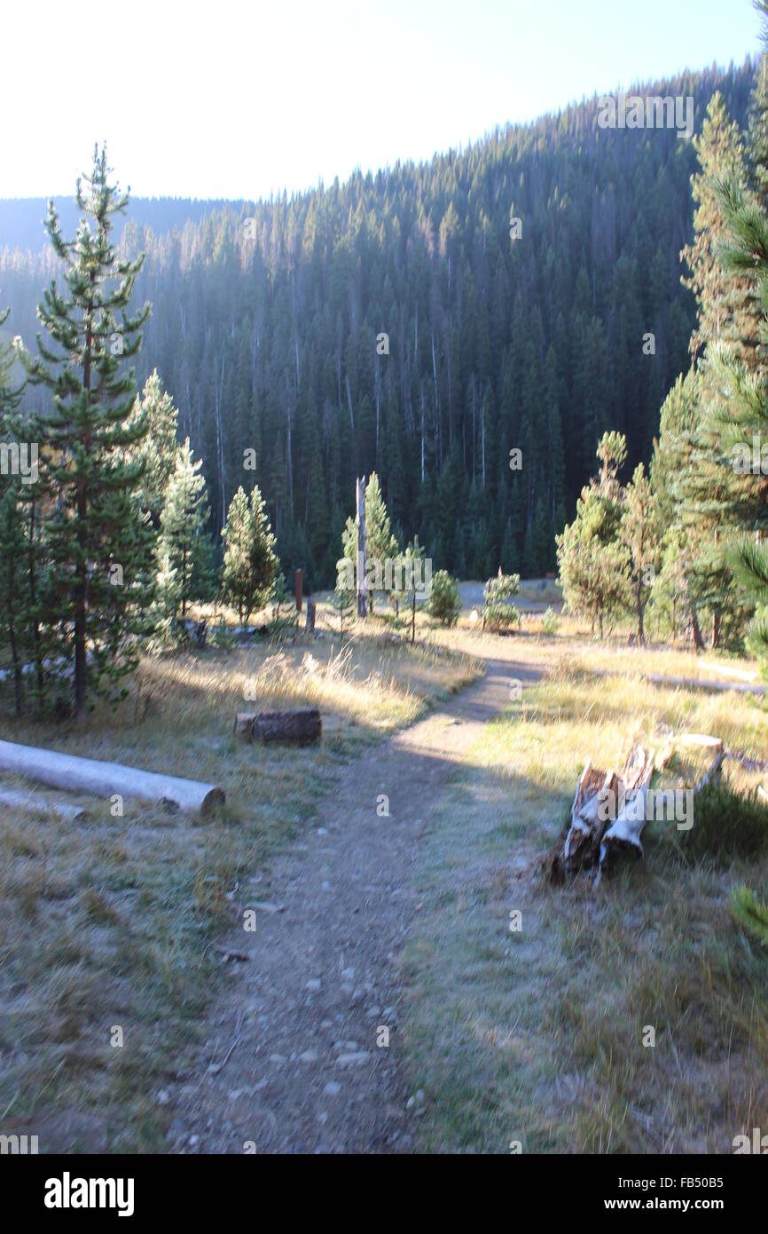Following the Trail on an Autumn Morning Stock Photo - Alamy