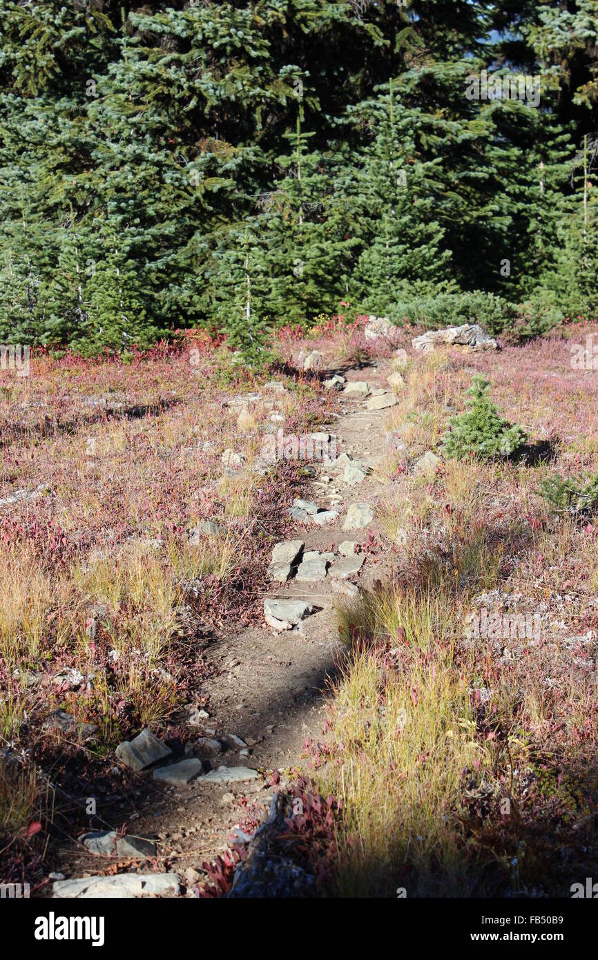 Follow the Path Stock Photo - Alamy