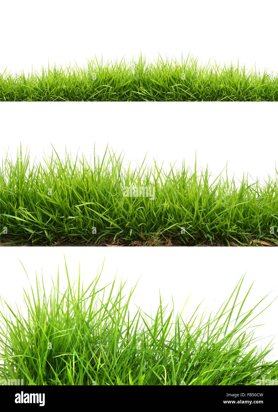 three style fresh spring green grass Stock Photo - Alamy