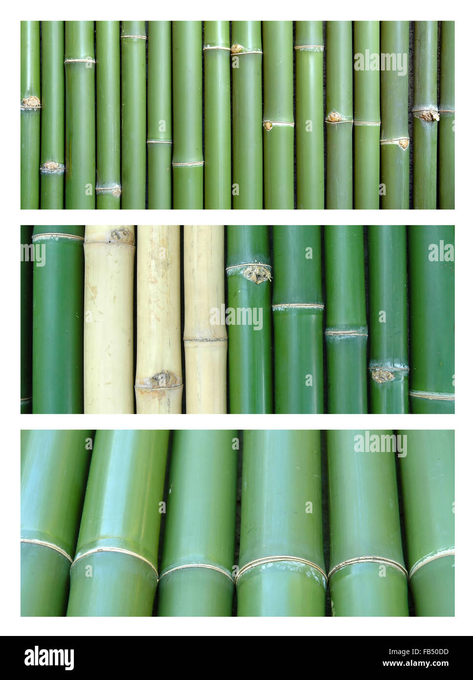 Asian background bamboo Cut Out Stock Images & Pictures - Alamy