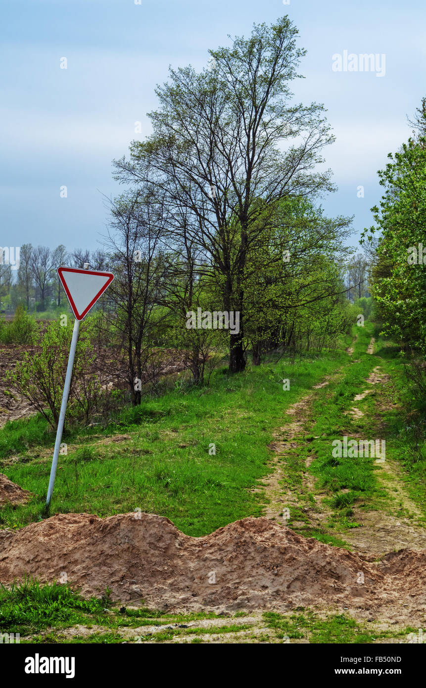 Old grass road through spring forest Stock Photo - Alamy