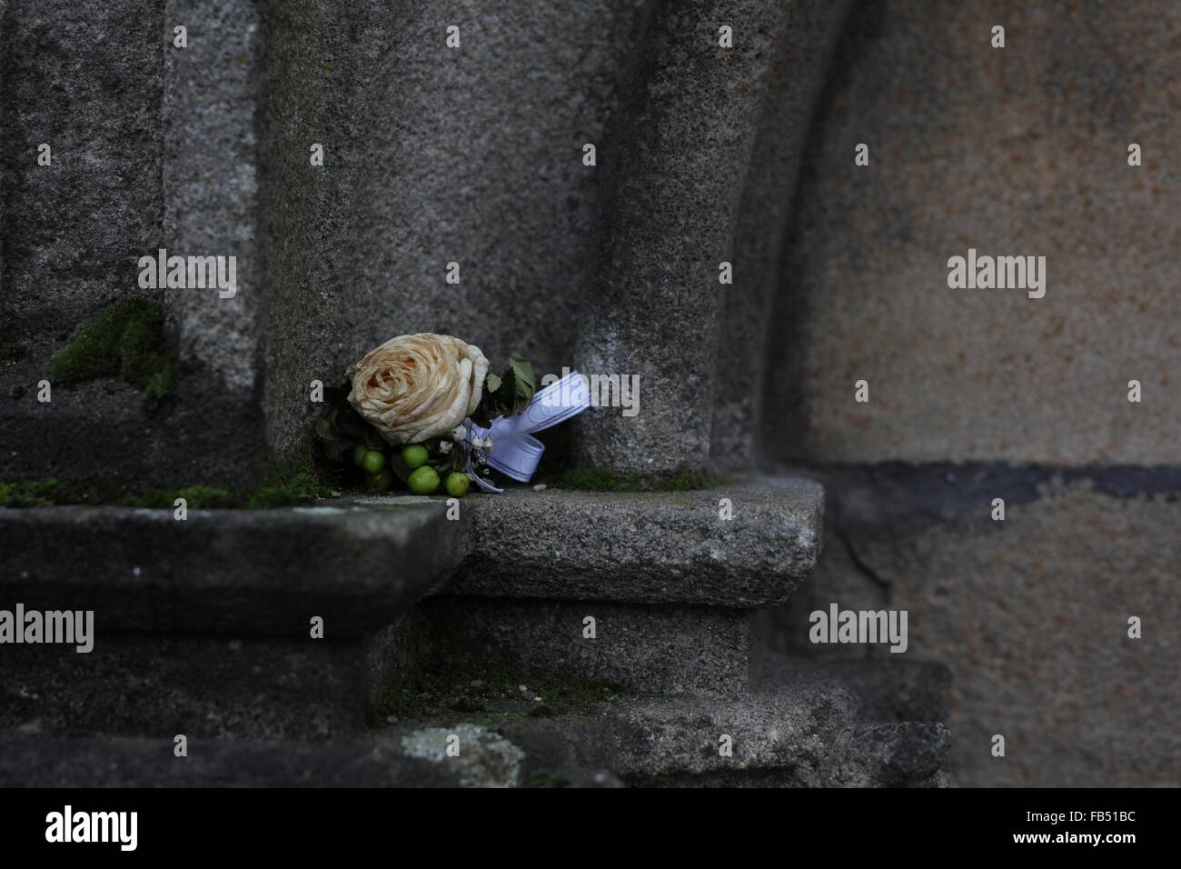 Dried wedding rose on a spur, part of cologne cathedral Stock Photo - Alamy
