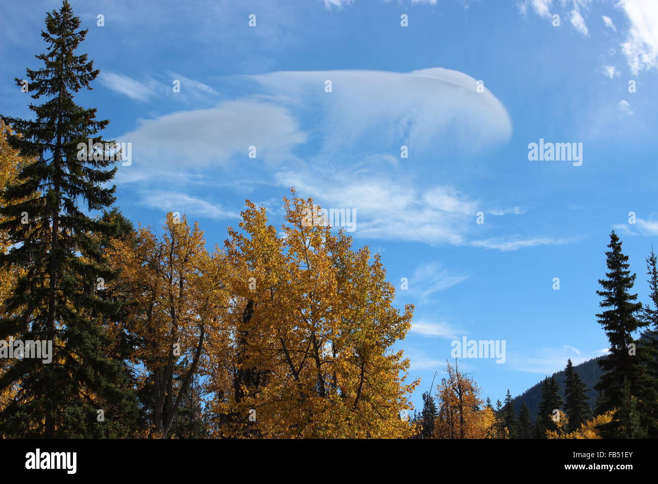 Clouds on a Fall Day Stock Photo - Alamy