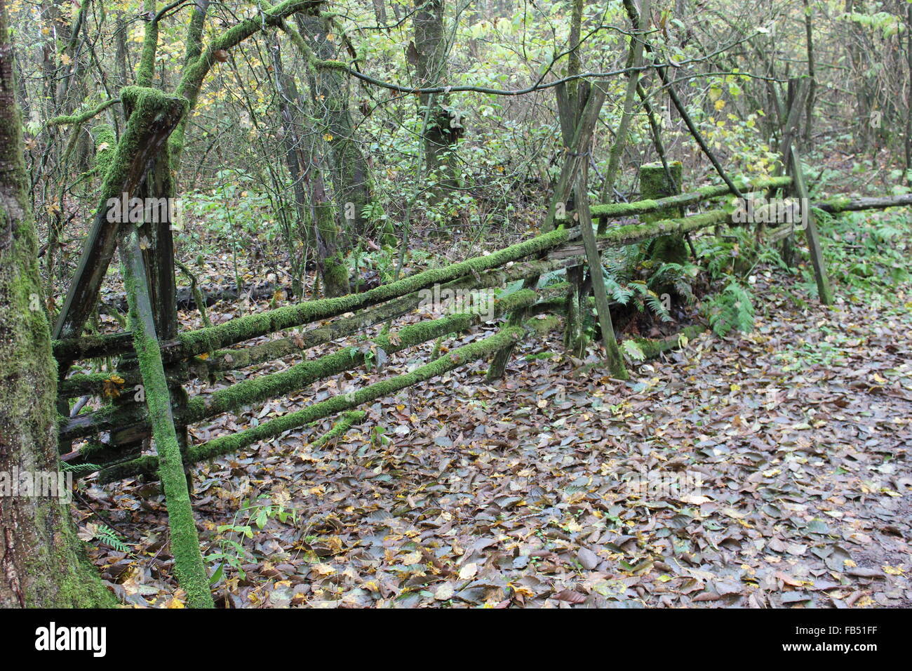 Old farm fencing hi-res stock photography and images - Alamy