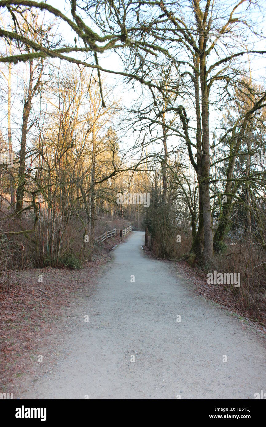 Winters winters winters winters pathway hi-res stock photography and ...