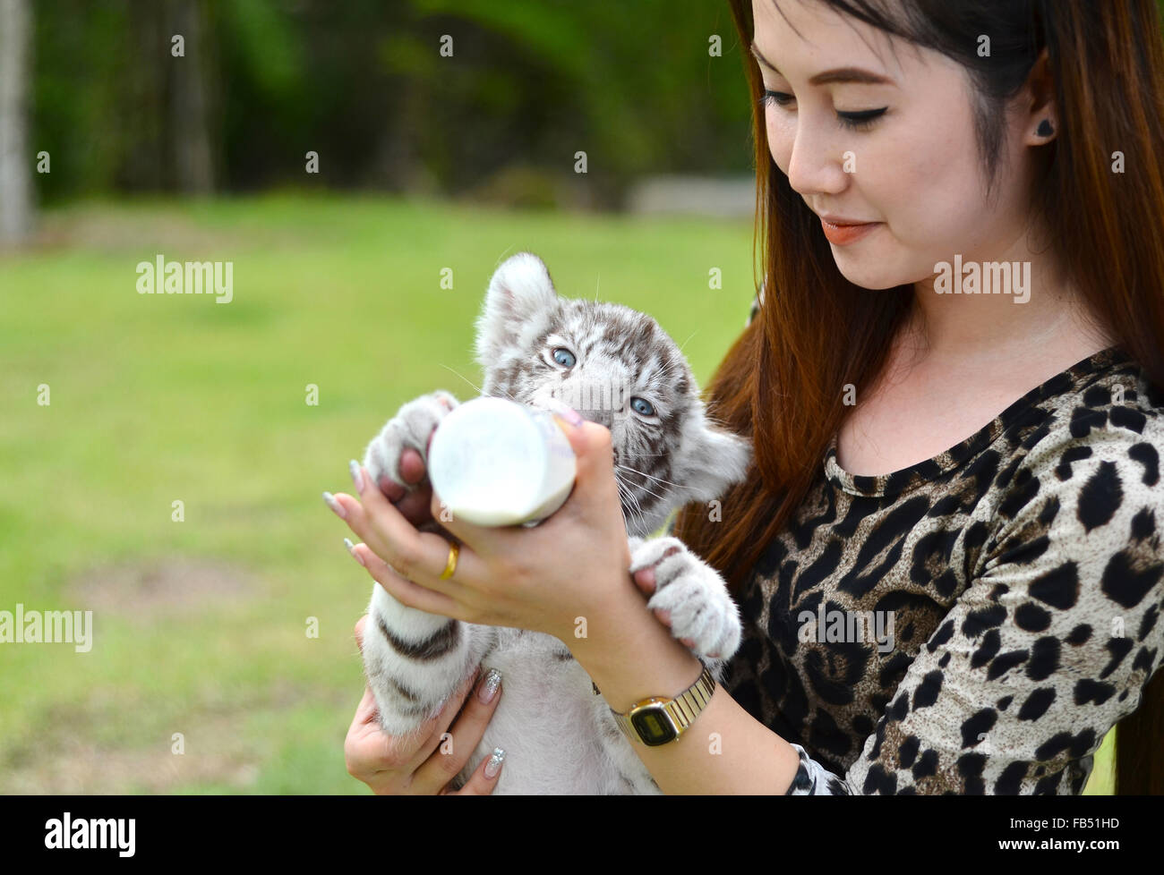 pretty women feeding baby white bengal tiger Stock Photo - Alamy
