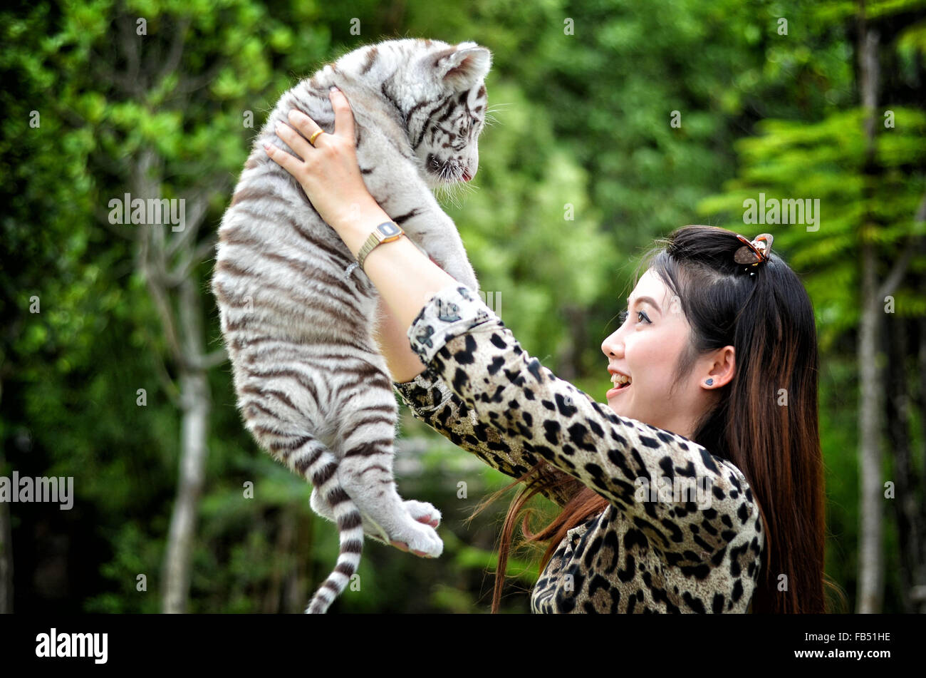pretty women hold baby white bengal tiger Stock Photo - Alamy