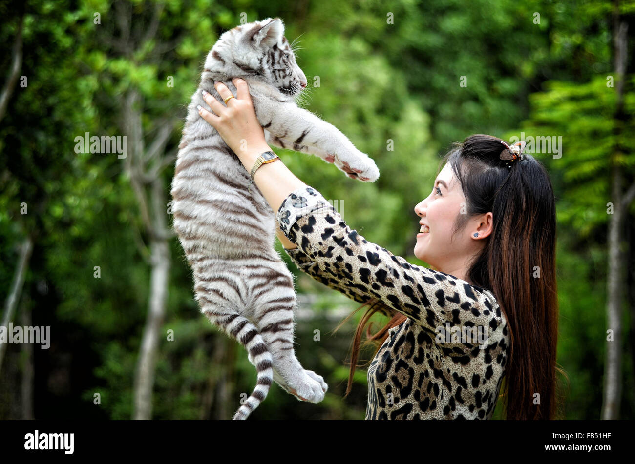 pretty women hold baby white bengal tiger Stock Photo - Alamy