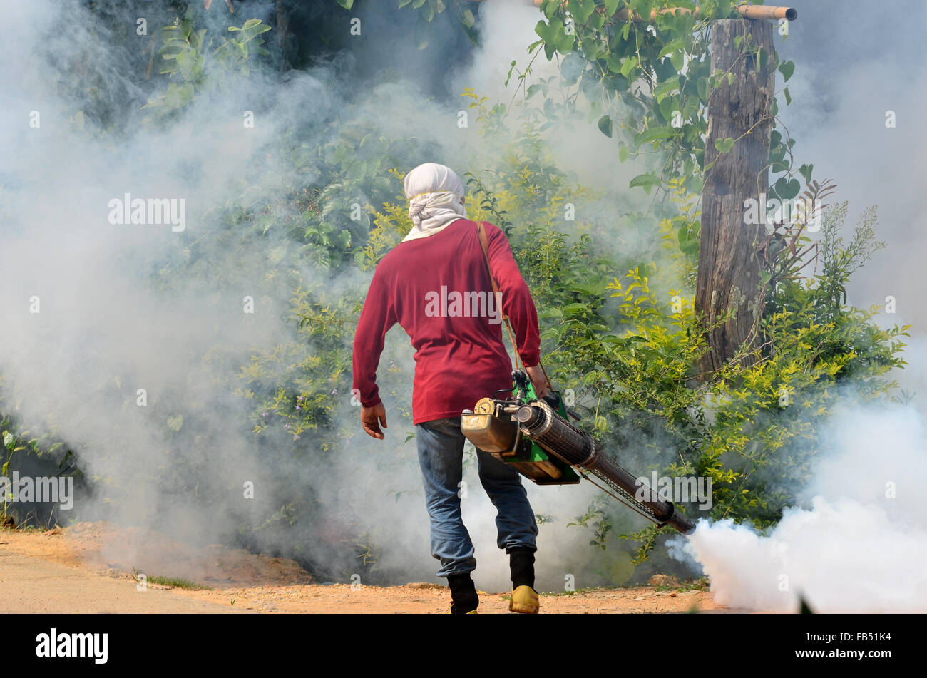 Dengue fever fogging hi-res stock photography and images - Alamy