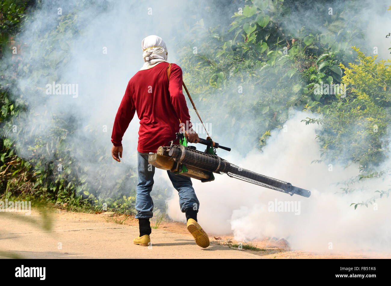 man Fogging to prevent spread of dengue fever in thailand Stock Photo ...