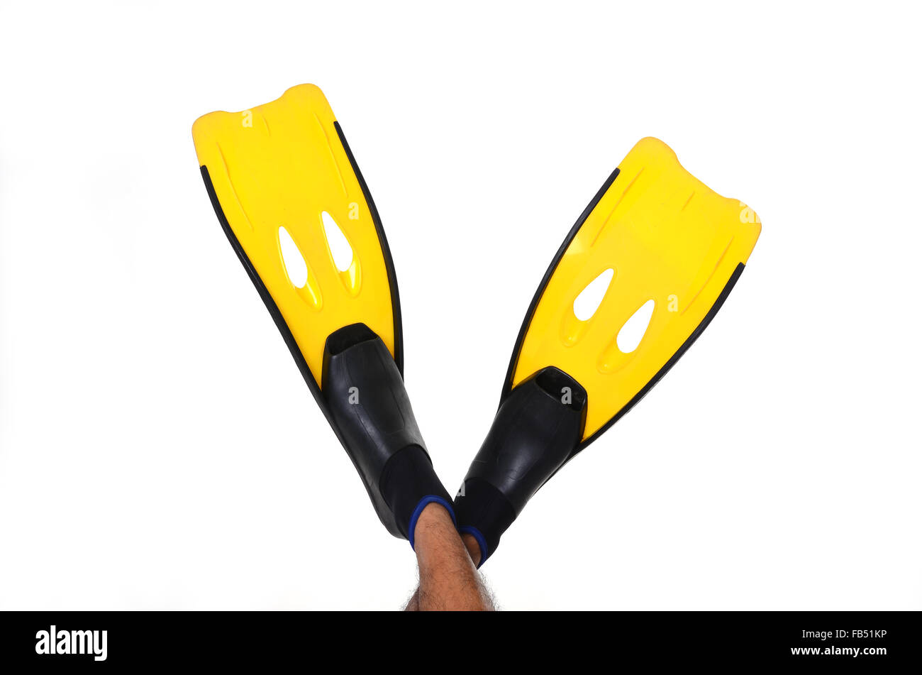 yellow fin isolated on a white background Stock Photo - Alamy