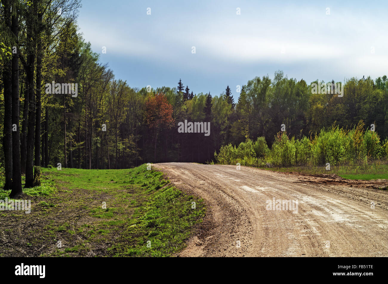 Sand road through spring forest. Sunlight and clouds Stock Photo - Alamy