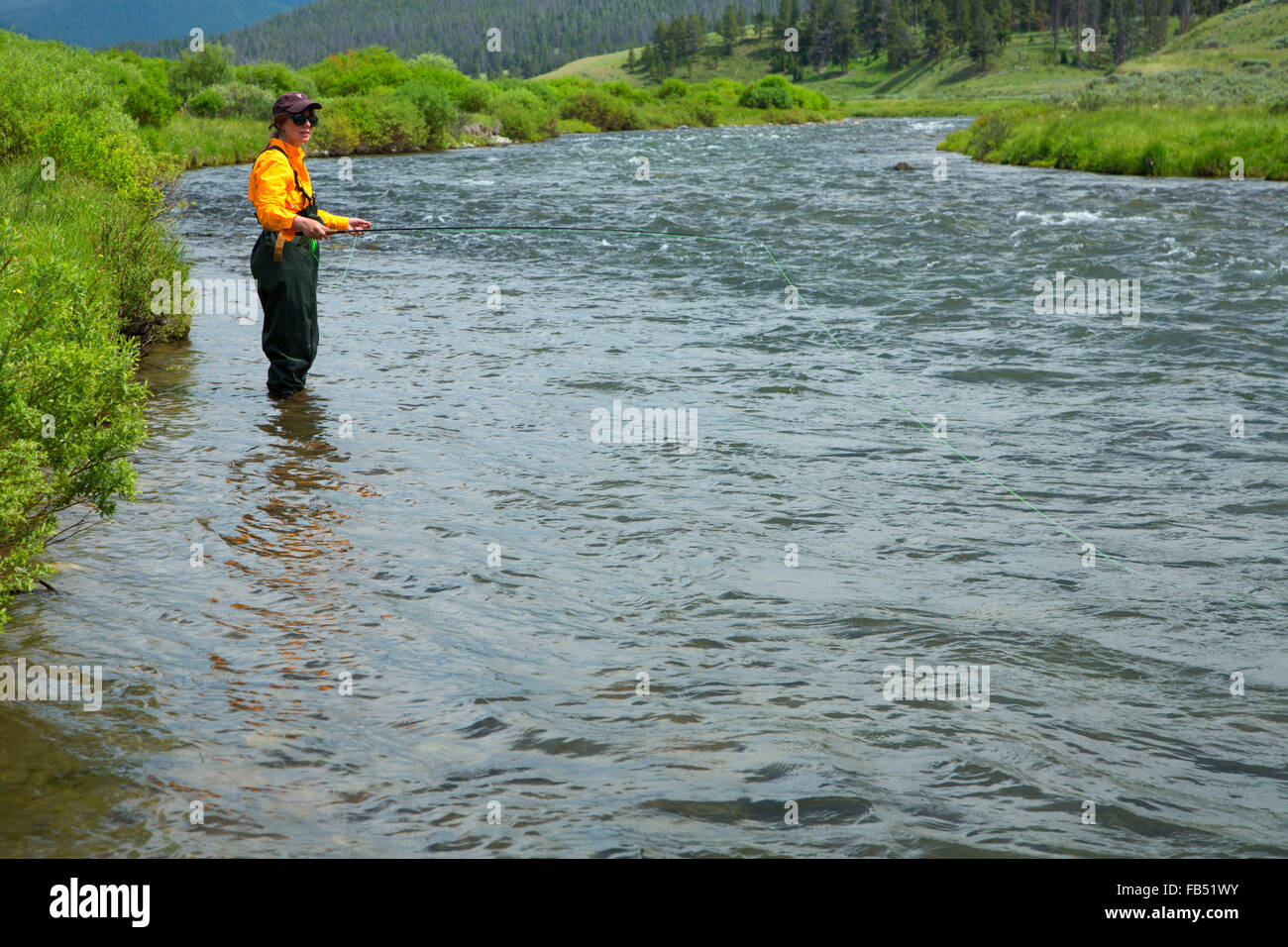 Flyfishing the Gallatin River, Gallatin National Forest, Montana Stock ...
