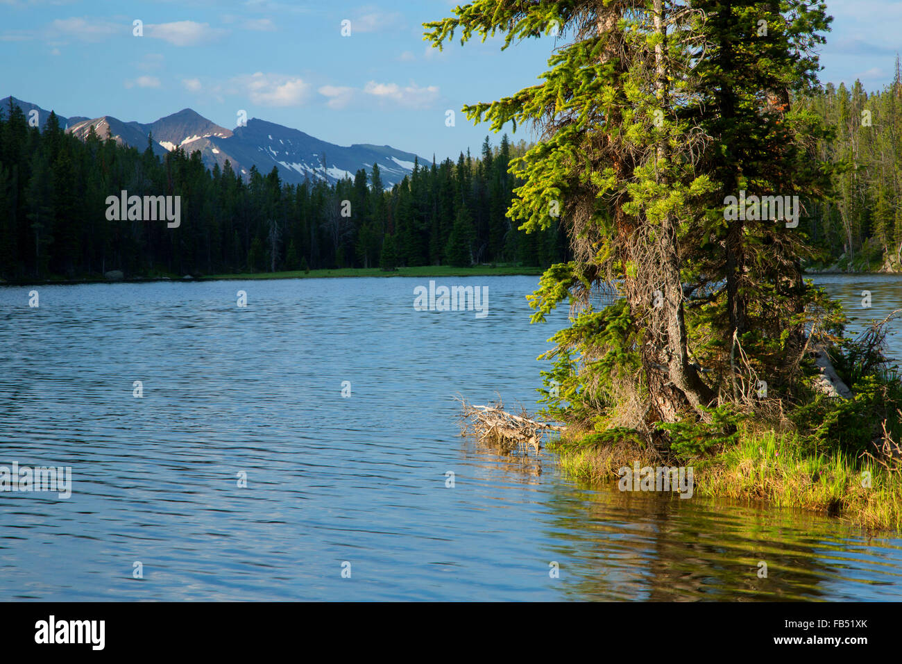 Lady of the Lake, Absaroka Beartooth Wilderness, Gallatin National ...