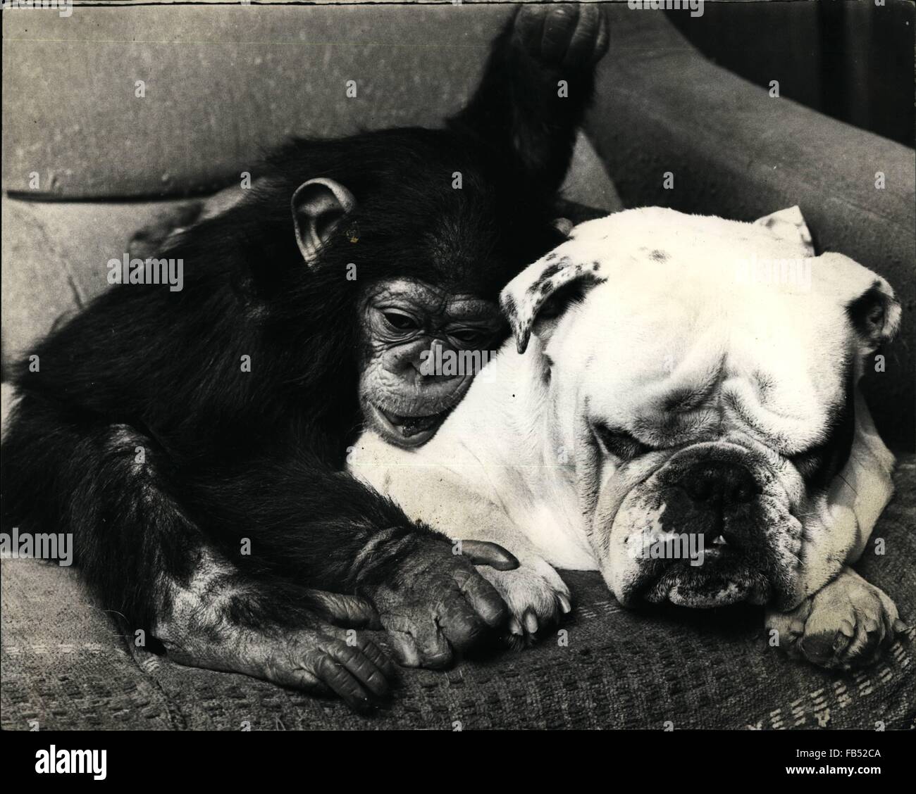 1972 - A Bright Spark In The Clews Family: A new member of the Clews ...