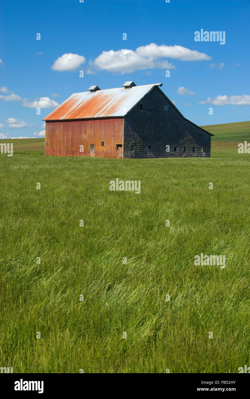 Barn in grass seed field, Marion County, Oregon Stock Photo - Alamy