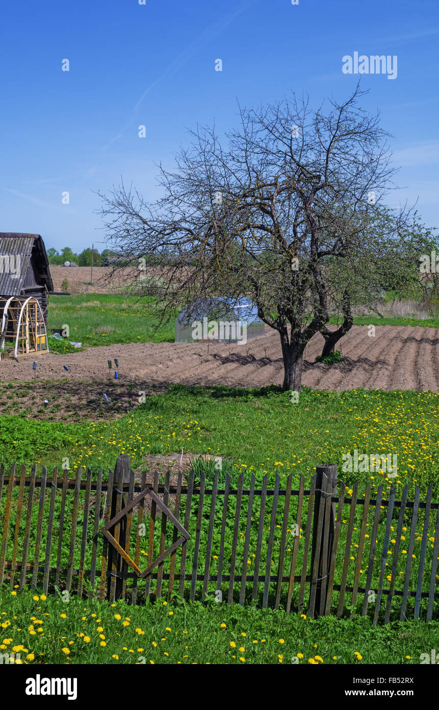 Village landscape.Spring garden Stock Photo - Alamy