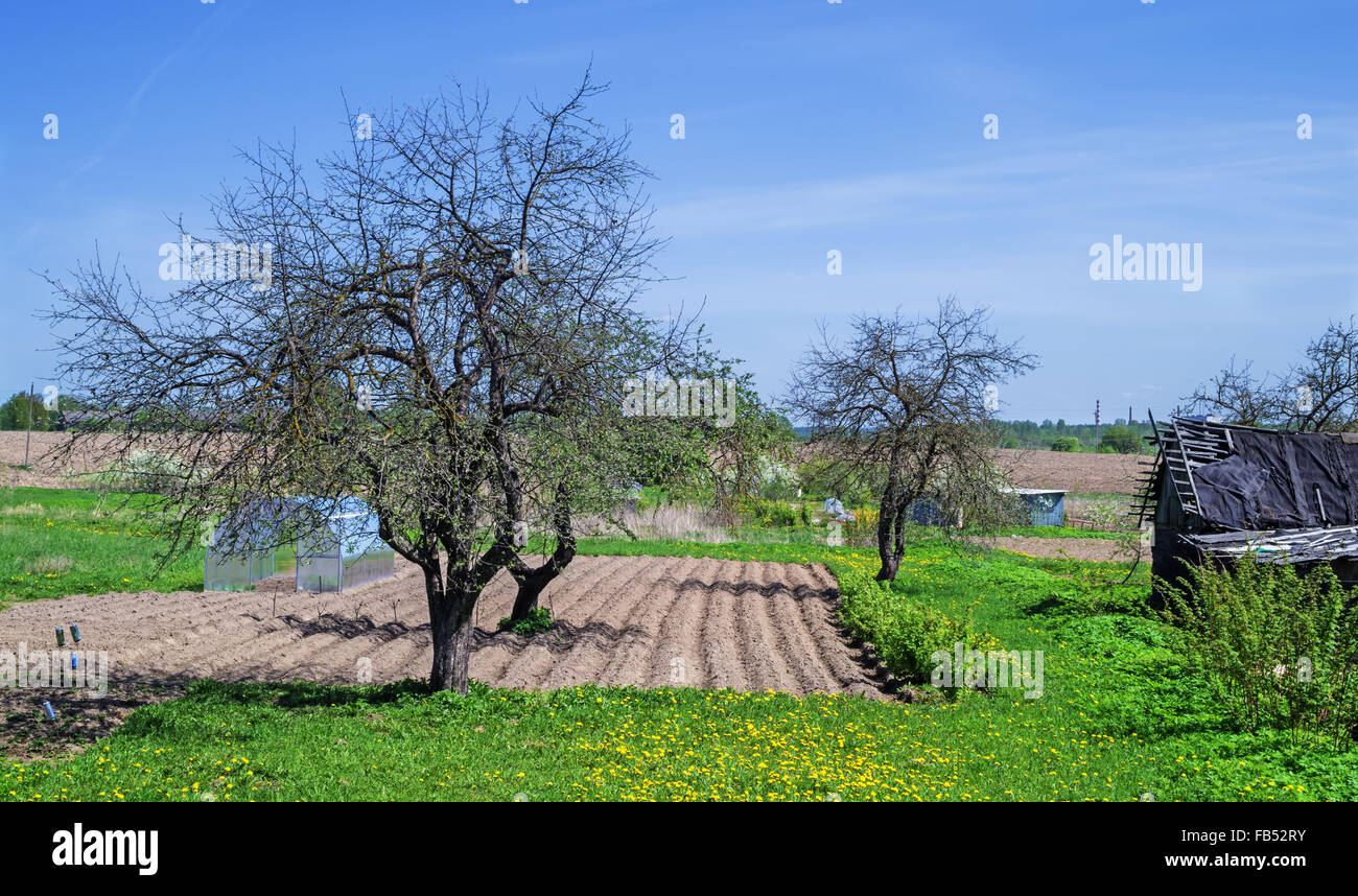 Village landscape. Spring garden Stock Photo - Alamy