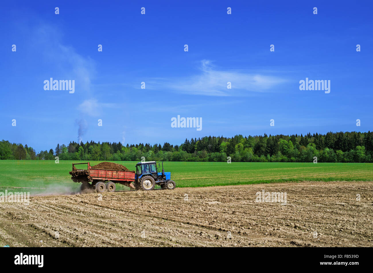 The tractor works at an agricultural field Stock Photo - Alamy