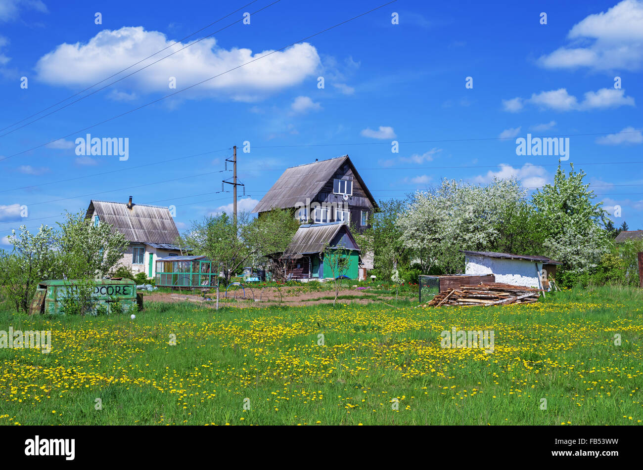 Spring village landscape. Meadow with dandelions Stock Photo - Alamy