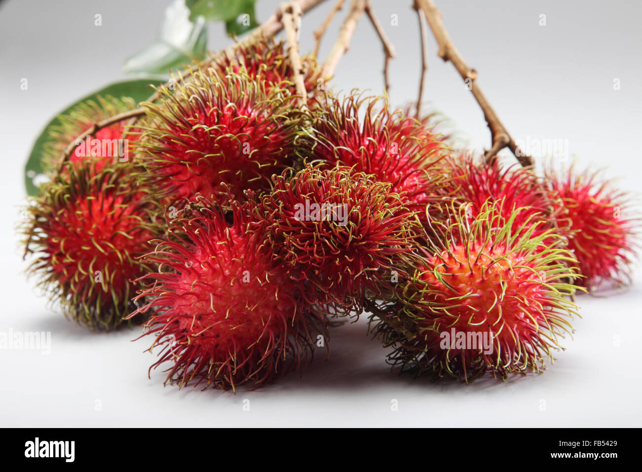 asian fruit rambutan on the plain background Stock Photo - Alamy