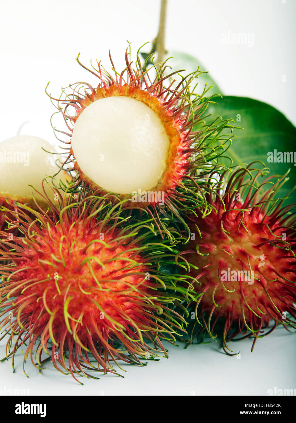 asian fruit rambutan on the plain background Stock Photo - Alamy