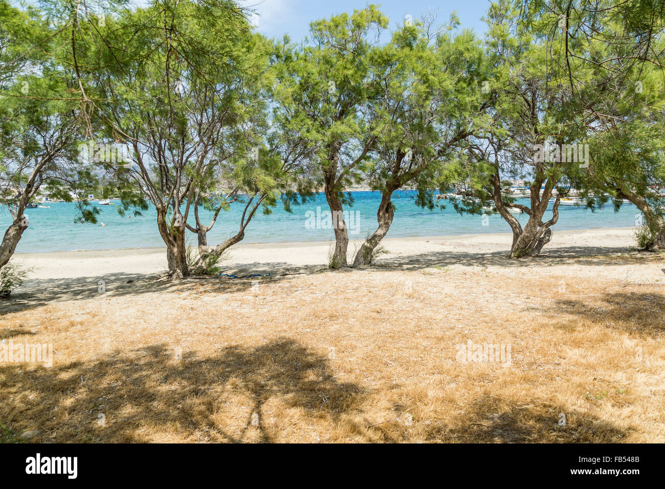 Beach at Pollonia Milos Greece Stock Photo - Alamy