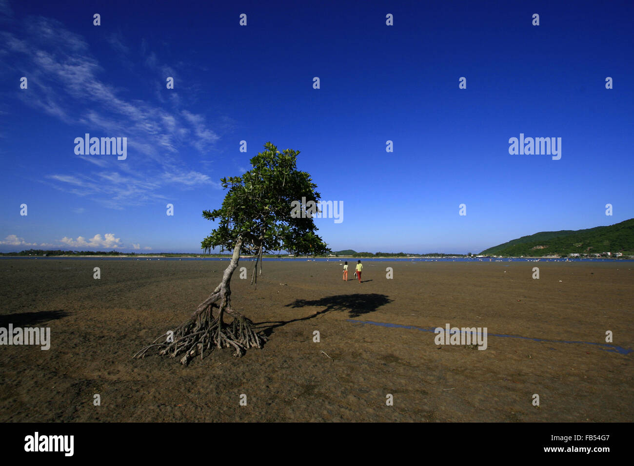 Hainan Province China Stock Photo - Alamy