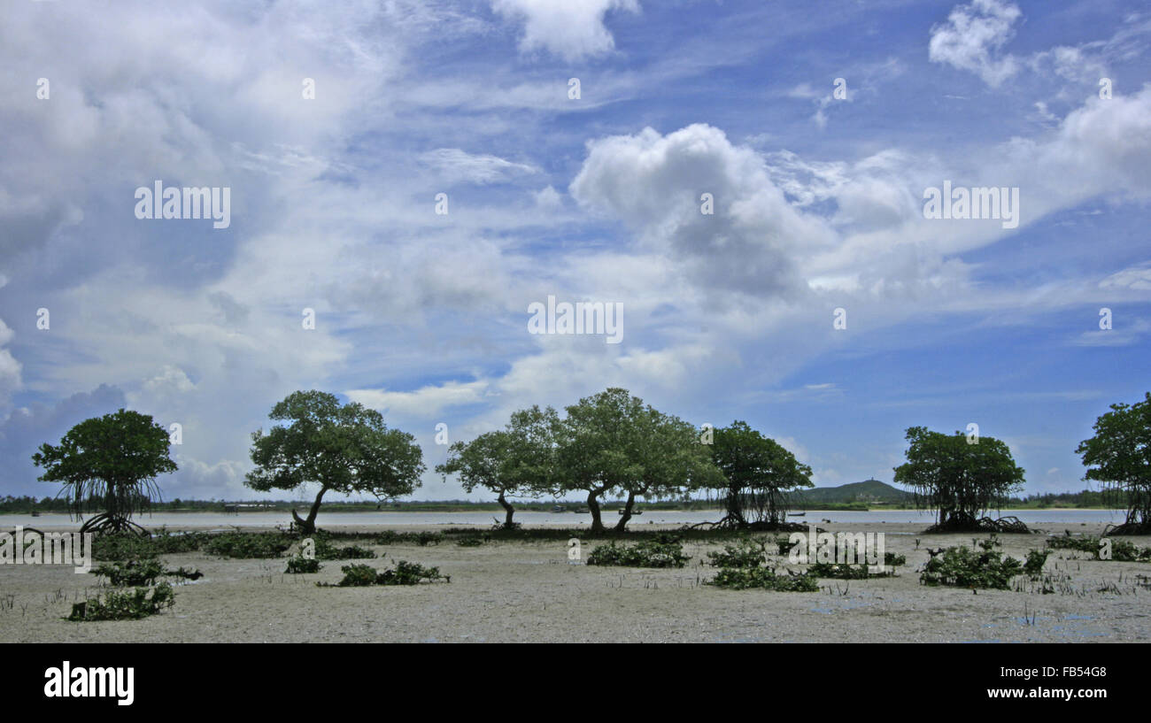 Hainan Province China Stock Photo - Alamy